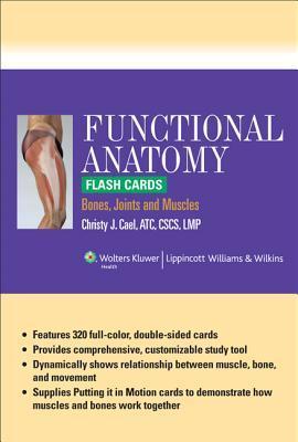 Functional Anatomy Flash Cards: Bones, Joints and Muscles by Christy J ...