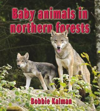 Baby Animals in Northern Forests by Bobbie Kalman | Goodreads
