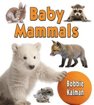 Baby Mammals (It's Fun to Learn About Baby Animals) by Bobbie Kalman ...