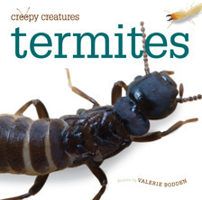 Termites (Creepy Creatures) by Valerie Bodden | Goodreads