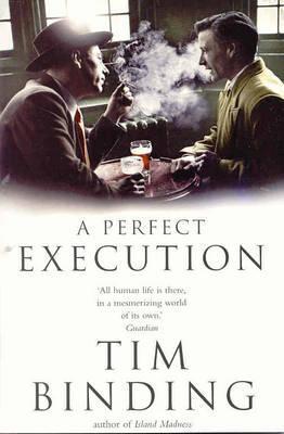 A Perfect Execution by Tim Binding | Goodreads