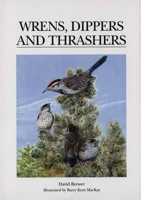 Wrens, Dippers, and Thrashers: A Guide to the Wrens, Dippers, and ...