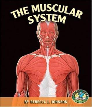 The Muscular System (Early Bird Body Systems) by Rebecca L. Johnson ...