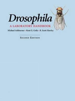 Drosophila: A Laboratory Handbook by Michael Ashburner | Goodreads