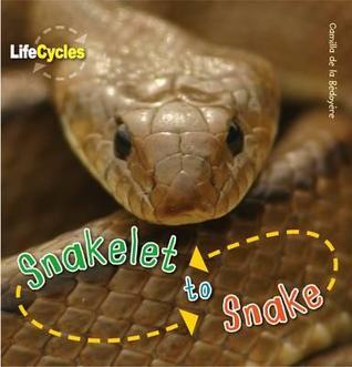 Snakelet to Snake by Camilla de la Bédoyère | Goodreads
