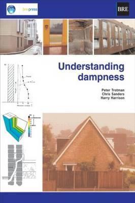 Understanding Dampness: Effects, Causes, Diagnosis and Remedies by ...