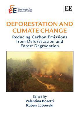 Deforestation and Climate Change: Reducing Carbon Emissions from ...