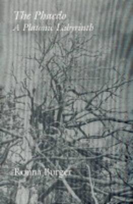 Phaedo A Platonic Labyrinth by Ronna Burger | Goodreads