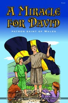 A Miracle for David - Patron Saint of Wales: Patron Saint of Wales by ...