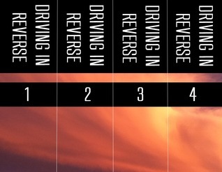 Driving in Reverse: Complete Series by E.C. Richard | Goodreads