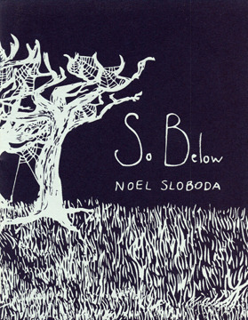 So Below by Noel Sloboda | Goodreads
