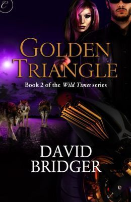 Golden Triangle by David Bridger | Goodreads