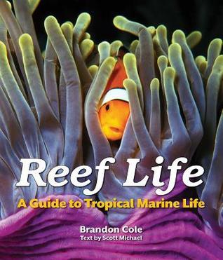 Reef Life: A Guide to Tropical Marine Life by Brandon Cole | Goodreads