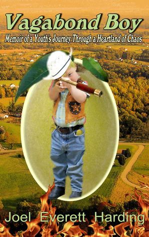 Vagabond Boy by Joel Everett Harding | Goodreads