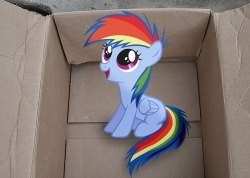 My Little Dashie by ROBCakeran53 | Goodreads