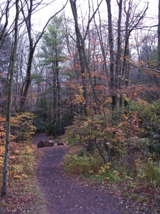 The Unpaved Road by Robyn Jane Sheppard | Goodreads