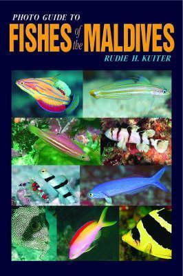 Photo Guide to Fishes of the Maldives by Rudie H. Kuiter | Goodreads