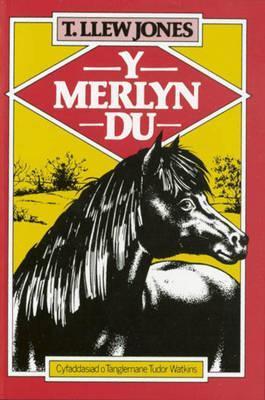 Y merlyn du (Welsh Edition) by T. Llew Jones | Goodreads