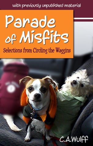 Parade of Misfits by Cayr Ariel Wulff | Goodreads