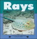 Rays (Nature Watch) by Sally M. Walker | Goodreads