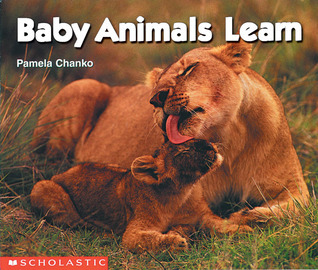 Baby Animals Learn (Science Emergent Reader) by Roberta Grobel | Goodreads