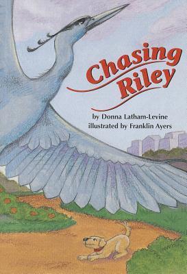 Comprehension Power Readers Chasing Riley Grade 3 Single 2004c by ...