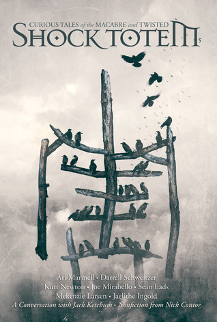 Shock Totem 5: Curious Tales of the Macabre and Twisted by K. Allen ...