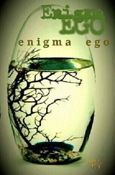 Enigma Ego by K.Y. | Goodreads