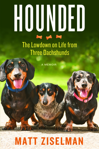 Hounded: The Lowdown on Life from Three Dachshunds by Matt Ziselman ...