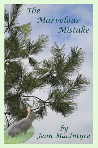 The Marvelous Mistake by Jean MacIntyre | Goodreads
