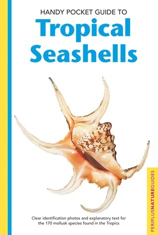 Handy Pocket Guide to Tropical Seashells by Pauline Fiene-Severns ...