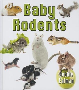 Baby Rodents (It's Fun to Learn about Baby Animals) by Bobbie Kalman ...