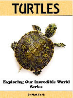 Incredible Turtles: Fun Animal Books For Kids With Facts & Incredible ...