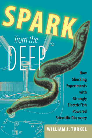 Spark from the Deep: How Shocking Experiments with Strongly Electric ...