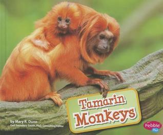 Tamarin Monkeys (Pebble Plus) by Mary R. Dunn | Goodreads