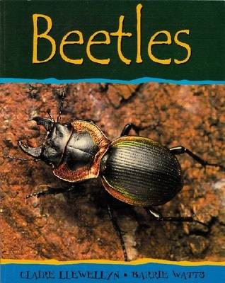 Beetles (Minibeasts) by Claire Llewellyn | Goodreads