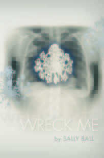 Wreck Me by Sally Ball | Goodreads