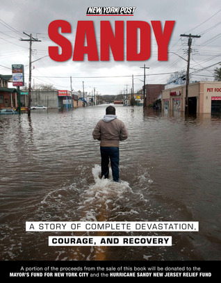 Sandy: A Story of Complete Devastation, Courage, and Recovery by New ...