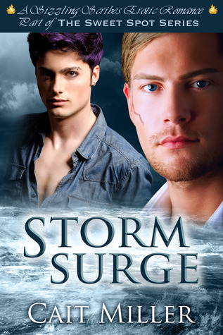 Storm Surge (The Sweet Spot Series) by Cait Miller | Goodreads