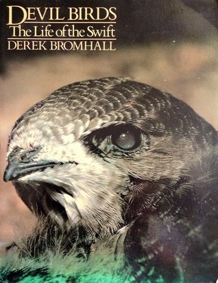 Devil Birds: The Life Of The Swift by Derek Bromhall | Goodreads