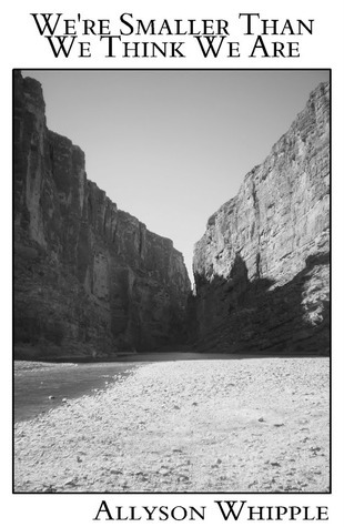 We're Smaller Then We Think We Are by Allyson Whipple | Goodreads