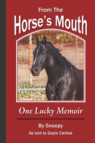 From the Horse's Mouth: One Lucky Memoir by Gayle Carline | Goodreads