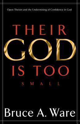 Their God Is Too Small: Open Theism and the Undermining of Confidence ...