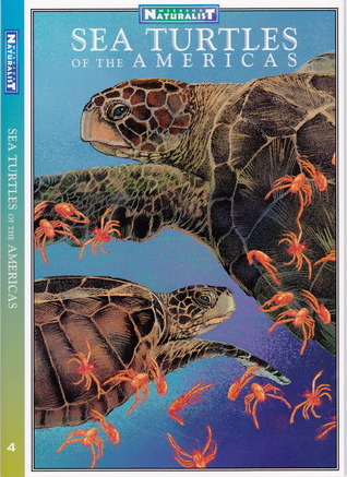 Sea Turtles of the Americas by Dawn Navarro Ericson | Goodreads