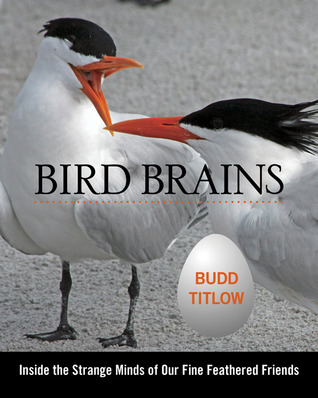 Bird Brains: Inside The Strange Minds Of Our Fine Feathered Friends by ...