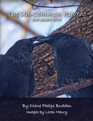 The Un-Common Raven one smart bird by Diane Phelps Budden | Goodreads