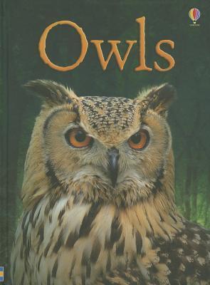 Owls (Usborne Beginners) by Emily Bone | Goodreads