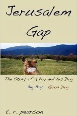 Jerusalem Gap: A Romance by T.R. Pearson | Goodreads