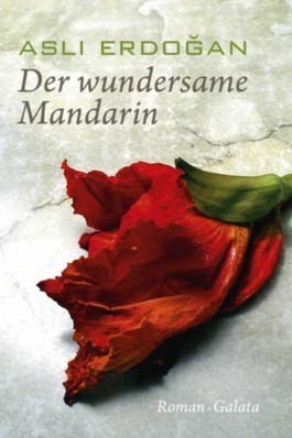 Der Wundersame Mandarin by Aslı Erdoğan | Goodreads
