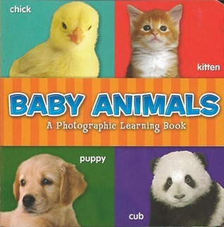 Baby Animals (A Photographic Learning Book) by The Clever Factory ...
